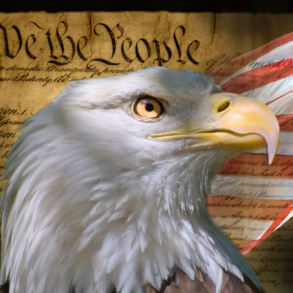 American Government - LETU POLS 2503 or Honors - Excelsior Classes